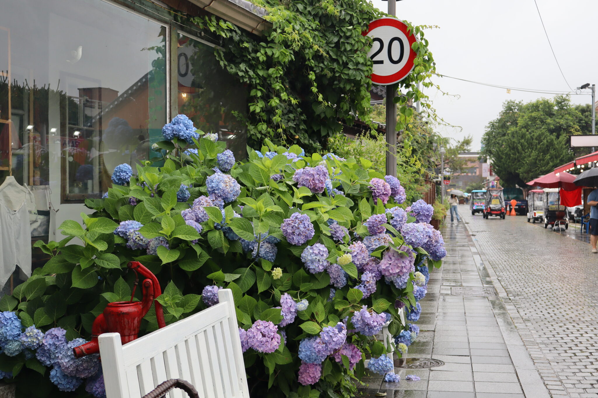 Femboy Models – A Unique Canvas - Feboy - Adona & Photography